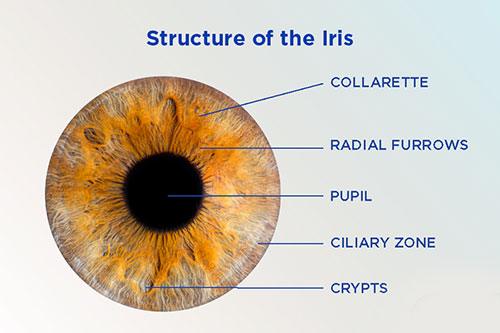 کاربرد دوربین‌های پردازش تصویر در عکسبرداری